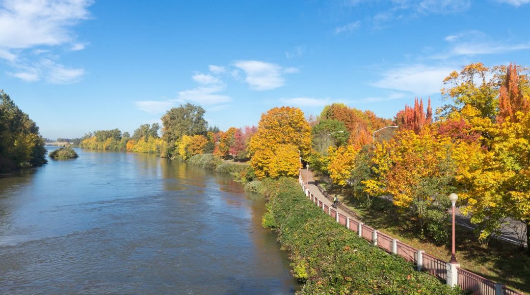 21+ Awesome Hikes Near Portland to Escape The Bustle