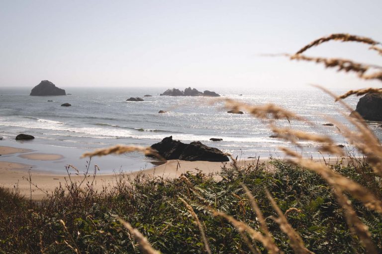 Your Guide to Shore Acres State Park