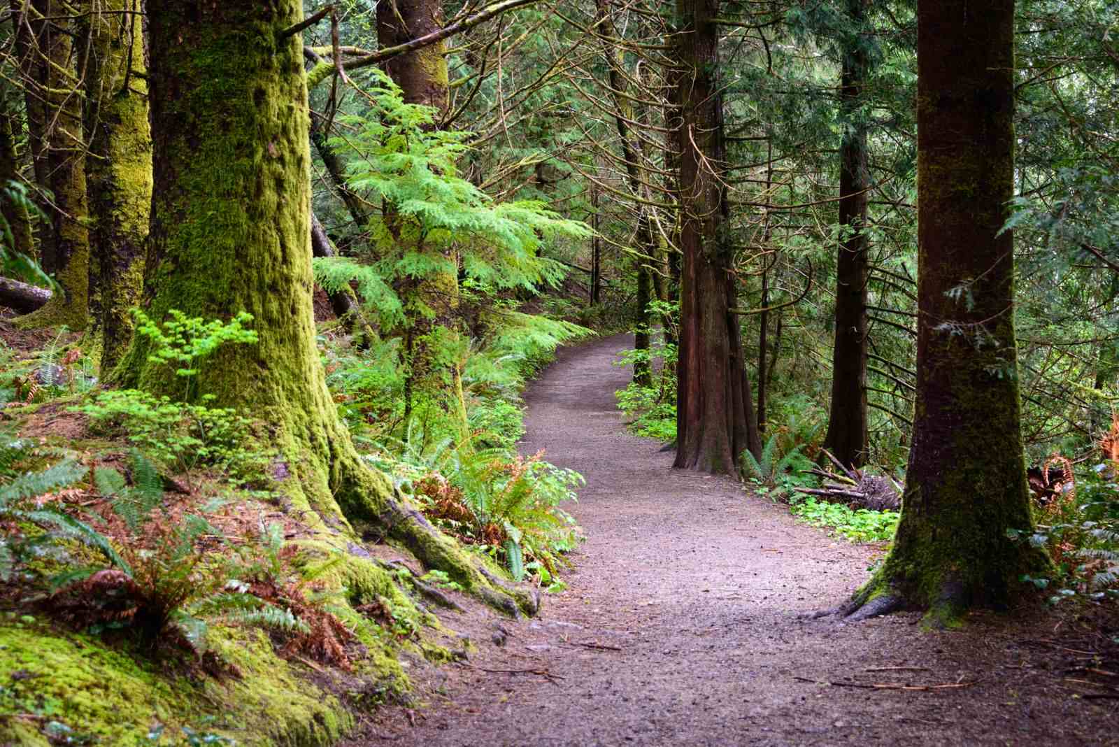 17 Breathtaking Oregon Coast Hikes - Oregon is for Adventure