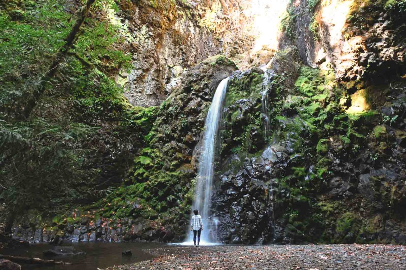 Guide to Umpqua National Forest: Waterfall Hikes & Hot Springs
