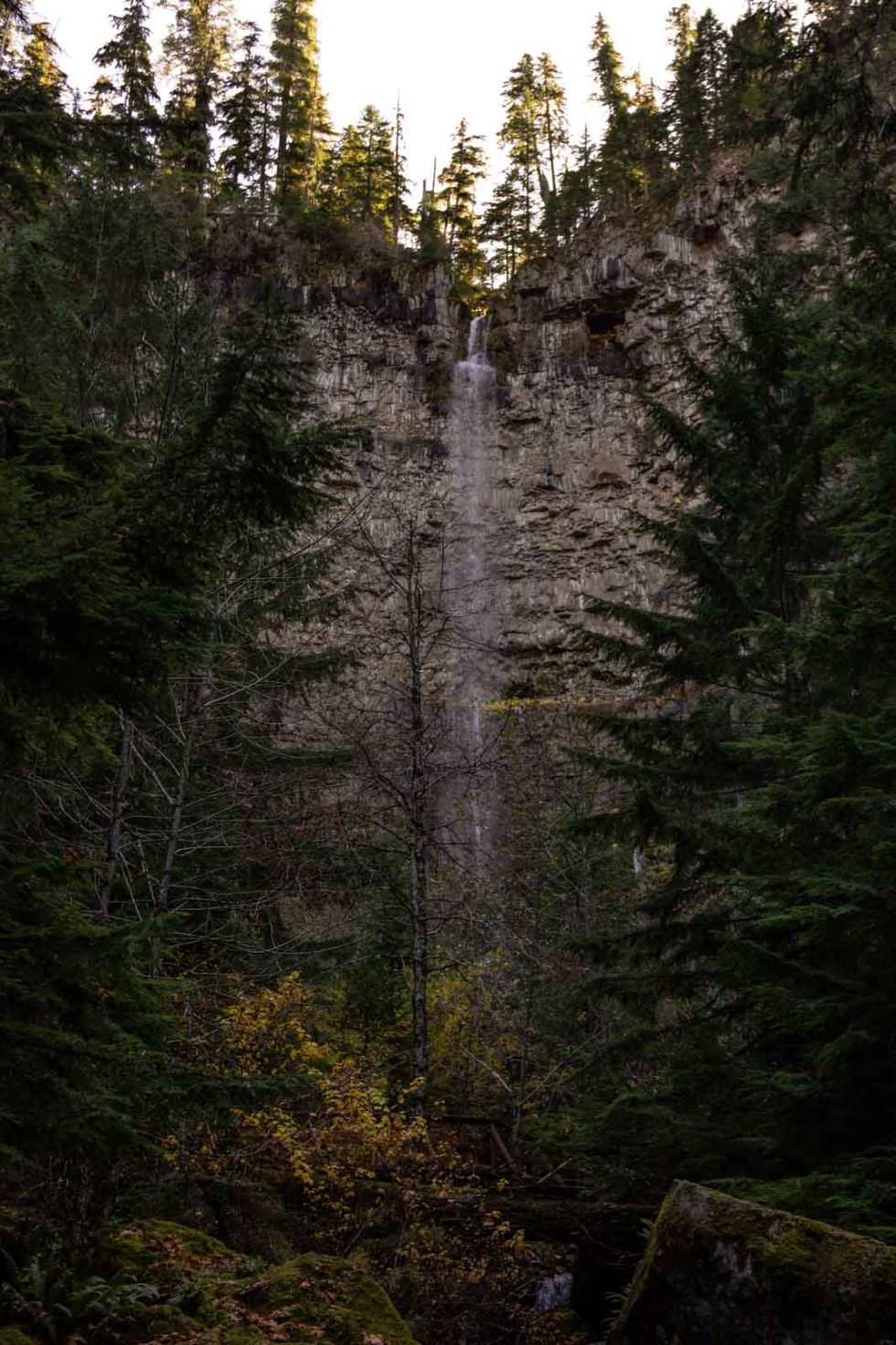 Guide to Umpqua National Forest: Waterfall Hikes & Hot Springs