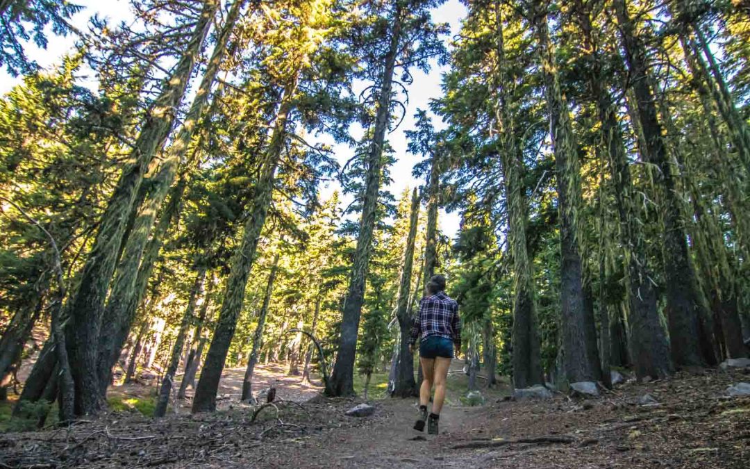 37 of The Best Oregon Hikes You've Got to Check Out