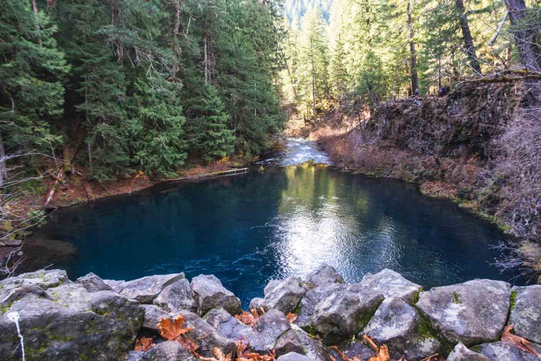 Tamolitch Blue Pool Hike in Central Oregon