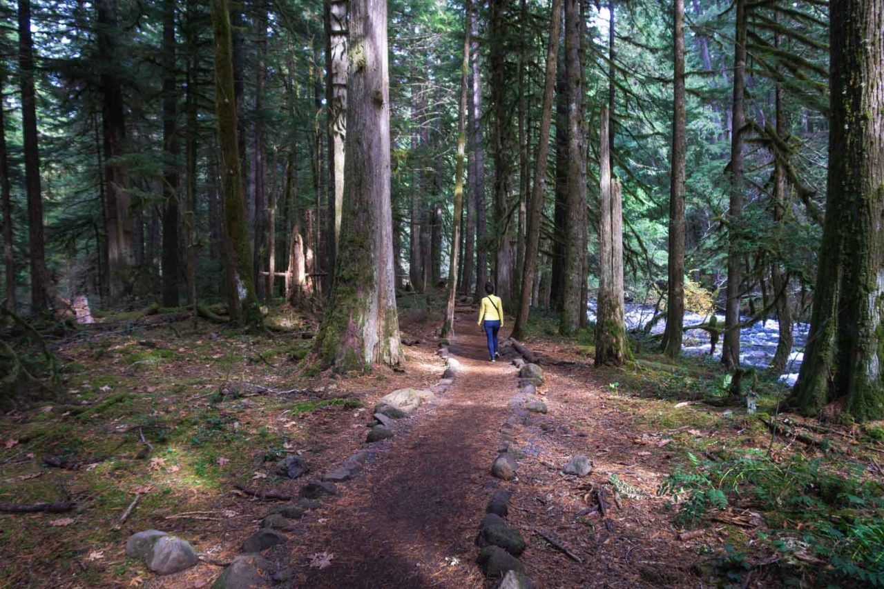 Tamolitch Blue Pool Hike in Central Oregon