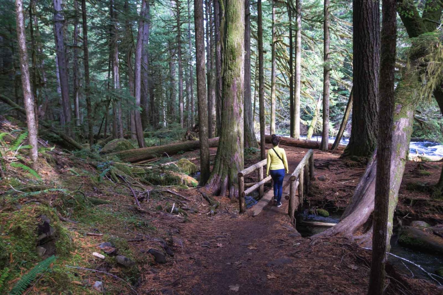Tamolitch Blue Pool Hike in Central Oregon