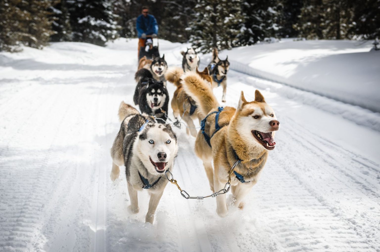Bend in Winter: 21 Coolest Things to Do!