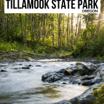 7 Tillamook State Forest Hikes to Tackle