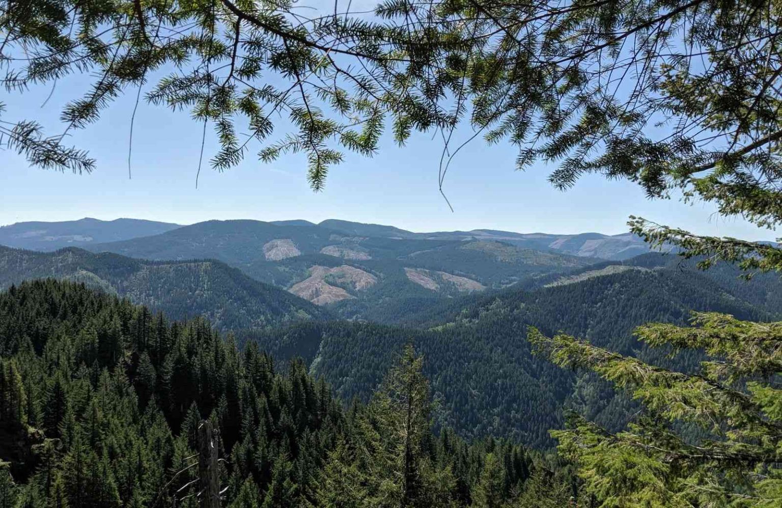 7 Tillamook State Forest Hikes to Tackle