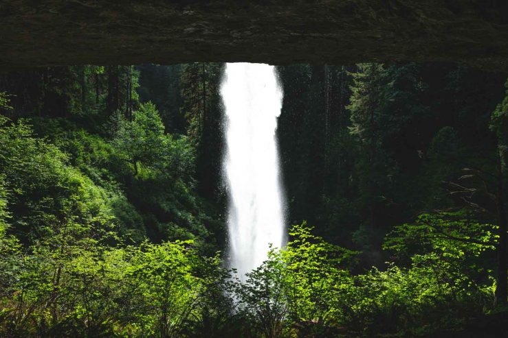Your Guide to Silver Falls State Park—The Trail of 10 Falls & More