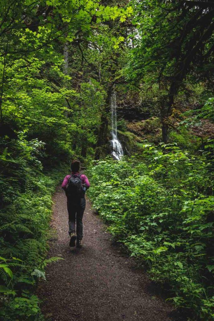 The Trail of 10 Falls in Silver Falls State Park