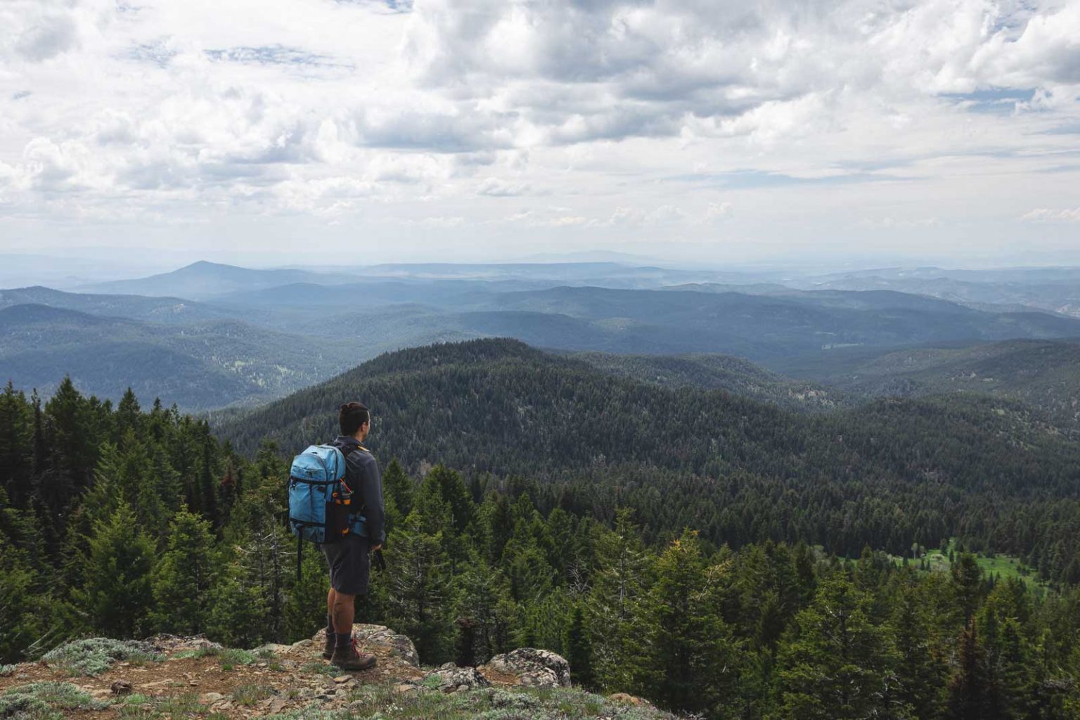 Your Guide to The Ochoco National Forest in Oregon