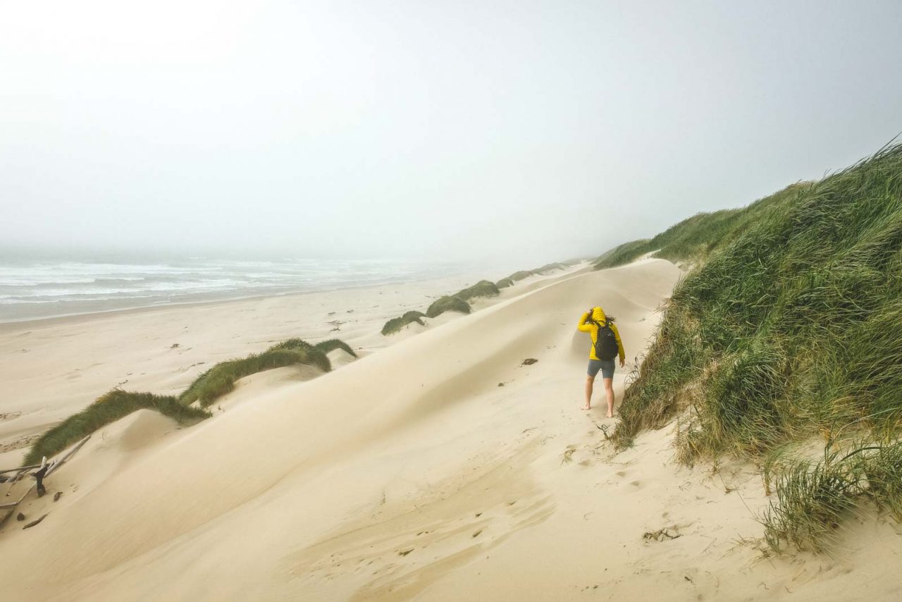 9 Epic Beaches for Surfing in Oregon—Beginner To Experienced!