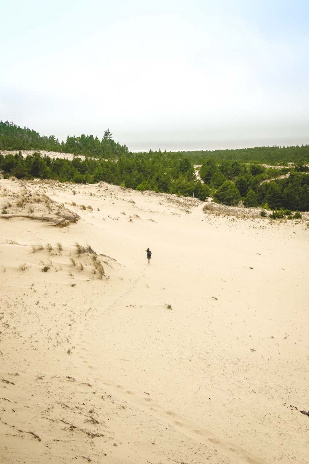 Your Adventure Guide to The Oregon Dunes - Oregon is for Adventure