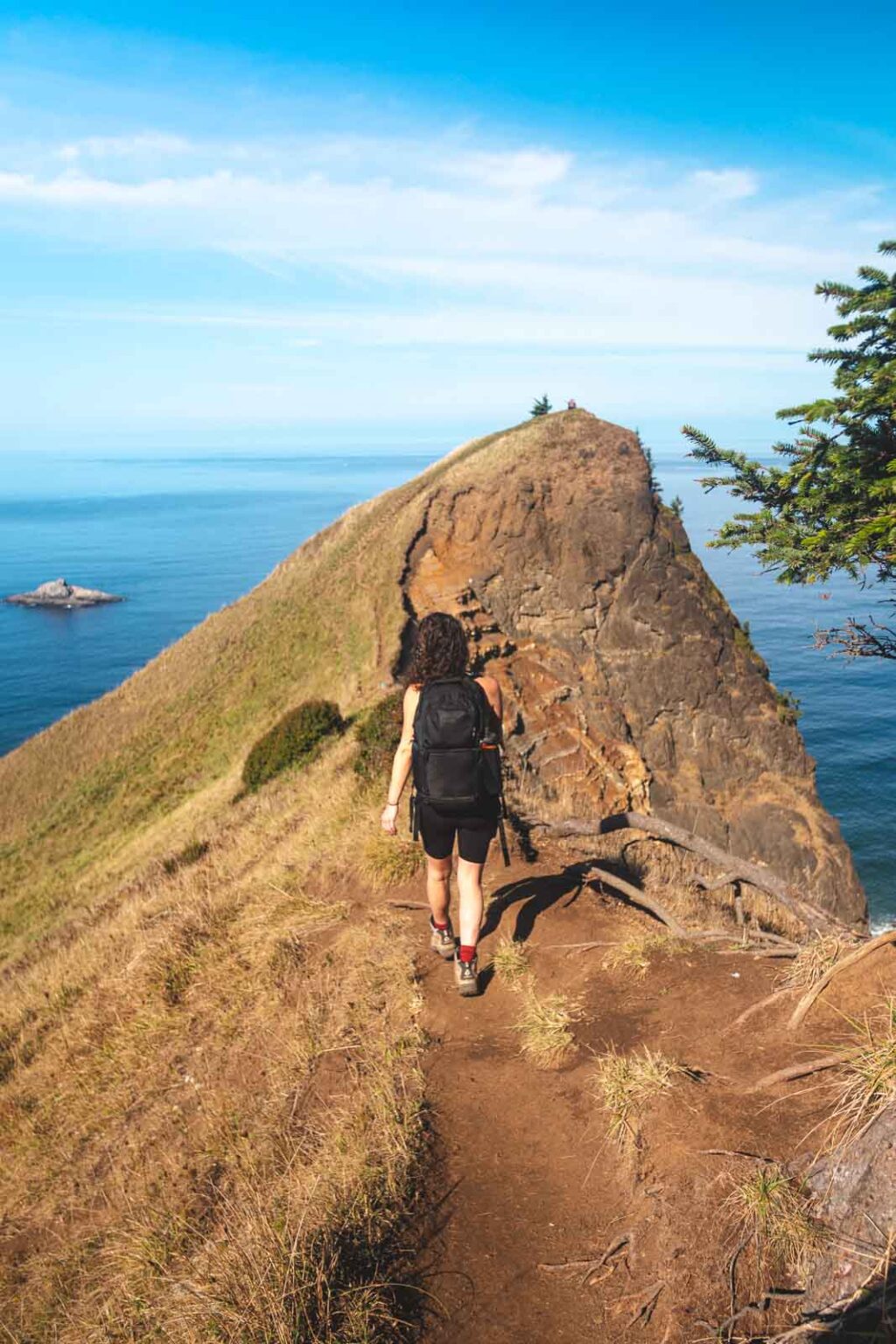 Your Guide To The God S Thumb Hike In Lincoln City