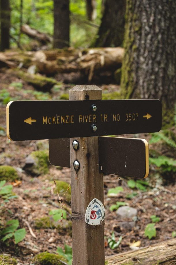 Your Guide To Hiking The McKenzie River Trail - Oregon is for Adventure