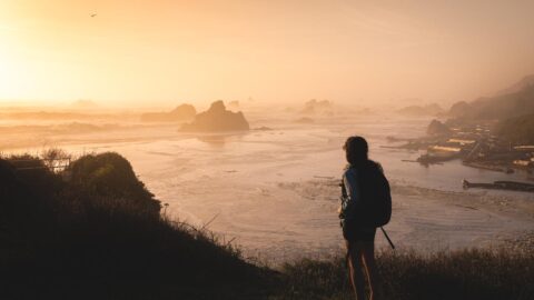 Your Guide to Harris Beach State Park in Oregon - Oregon is for Adventure