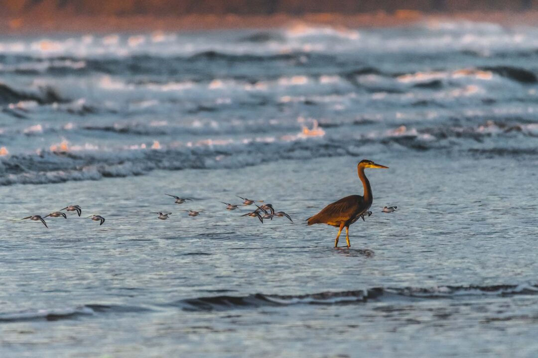 Your Guide to Nehalem Bay State Park - Oregon is for Adventure