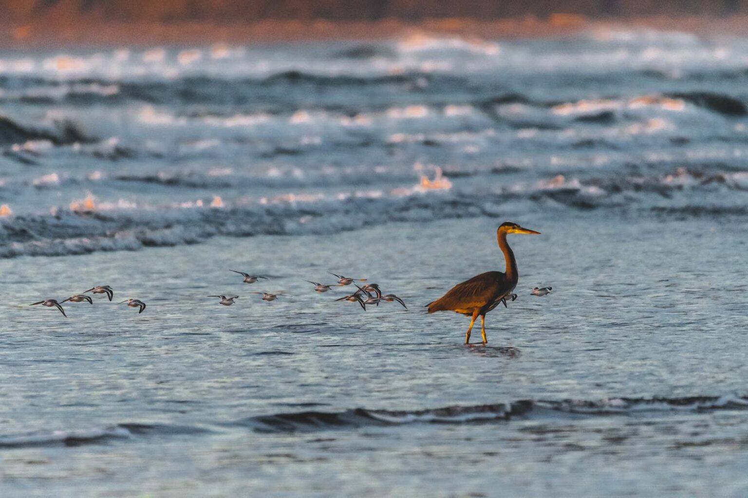 Your Guide to Nehalem Bay State Park - Oregon is for Adventure