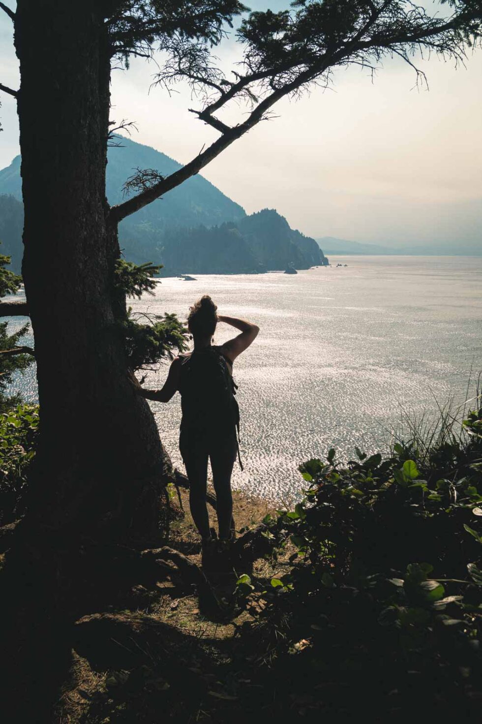 Your Guide to Oswald West State Park - Oregon is for Adventure