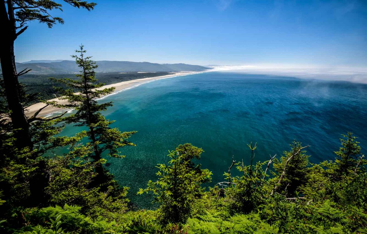 Your Guide to Cape Lookout State Park in Oregon! - Oregon is for Adventure