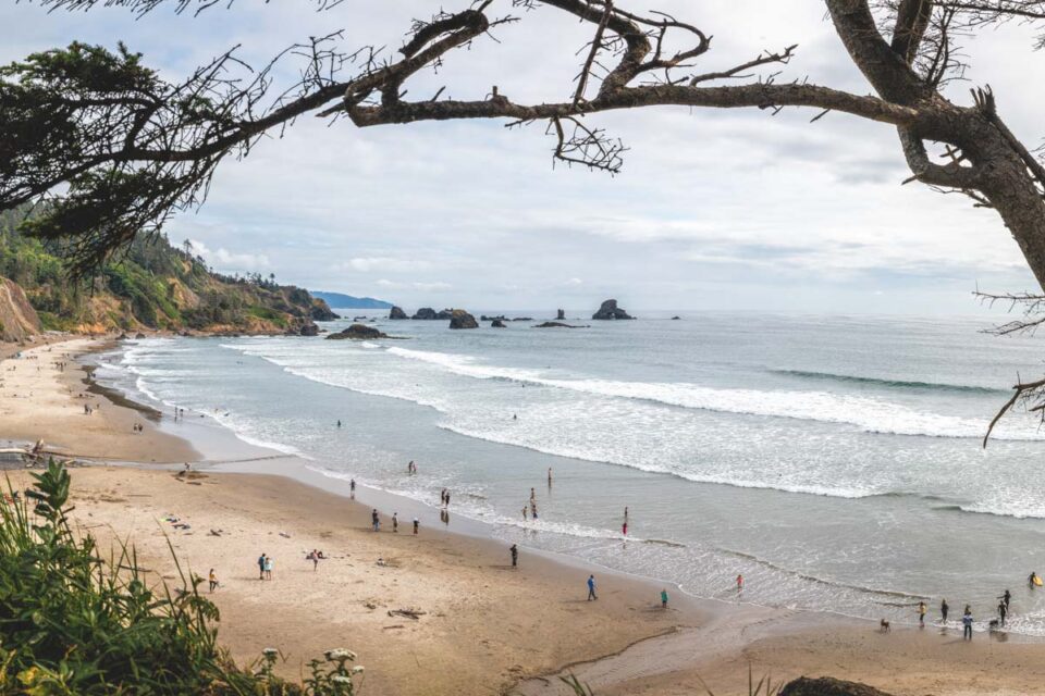 9 Epic Beaches for Surfing in Oregon—Beginner To Experienced!