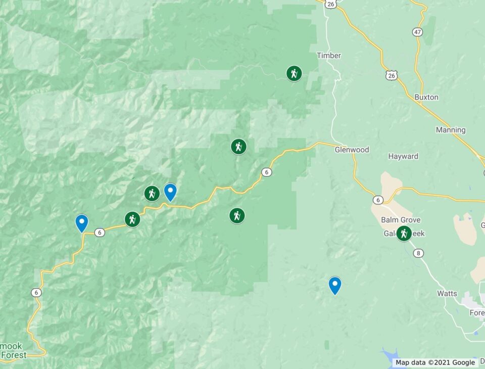 7 Tillamook State Forest Hikes to Tackle