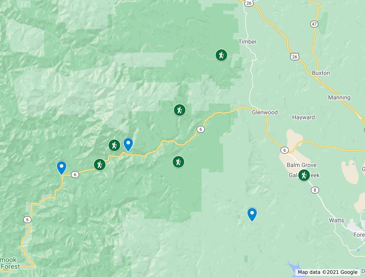 7 Tillamook State Forest Hikes to Tackle