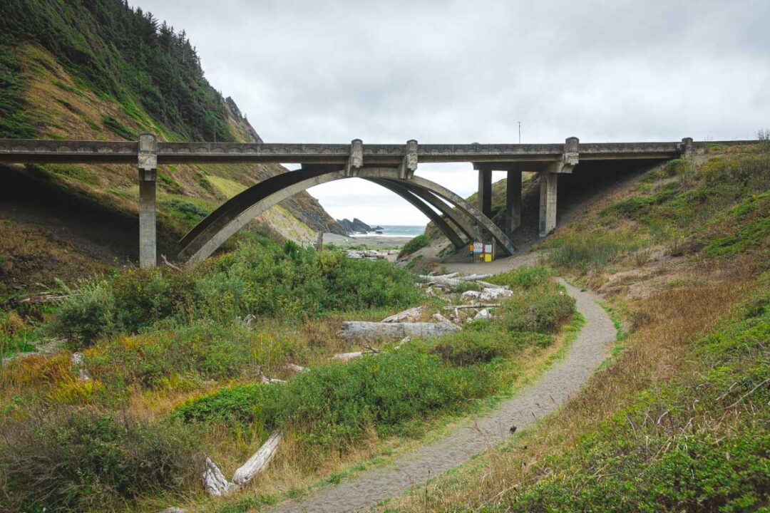 Check Out Humbug Mountain State Park in Oregon!
