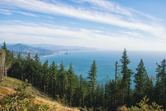 Check Out Humbug Mountain State Park in Oregon!