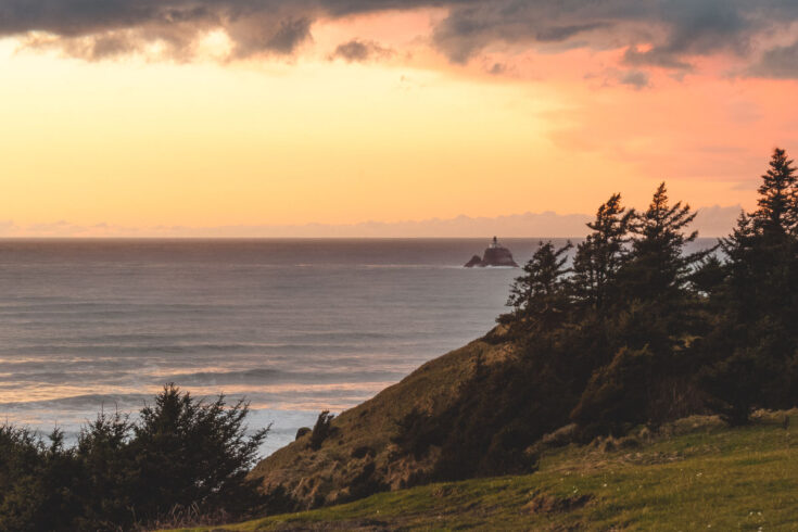 7 Tillamook State Forest Hikes to Tackle