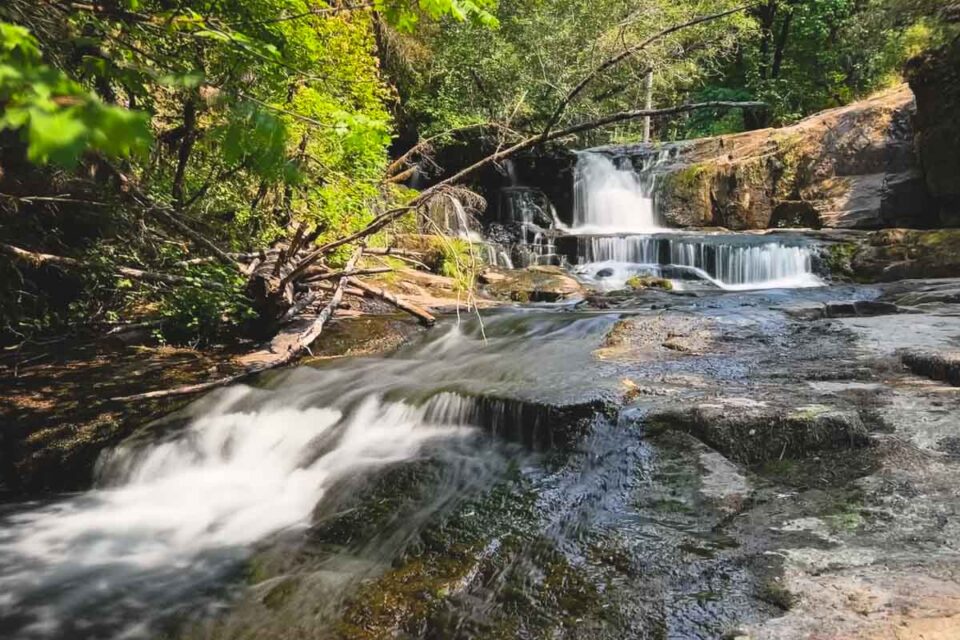 Alsea Falls & Green Peak Falls Trail in Oregon