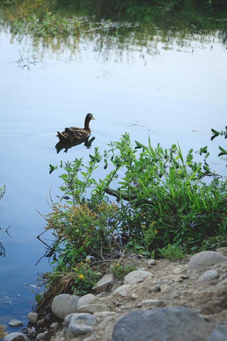 11 Worth It Hikes in Eugene, Oregon