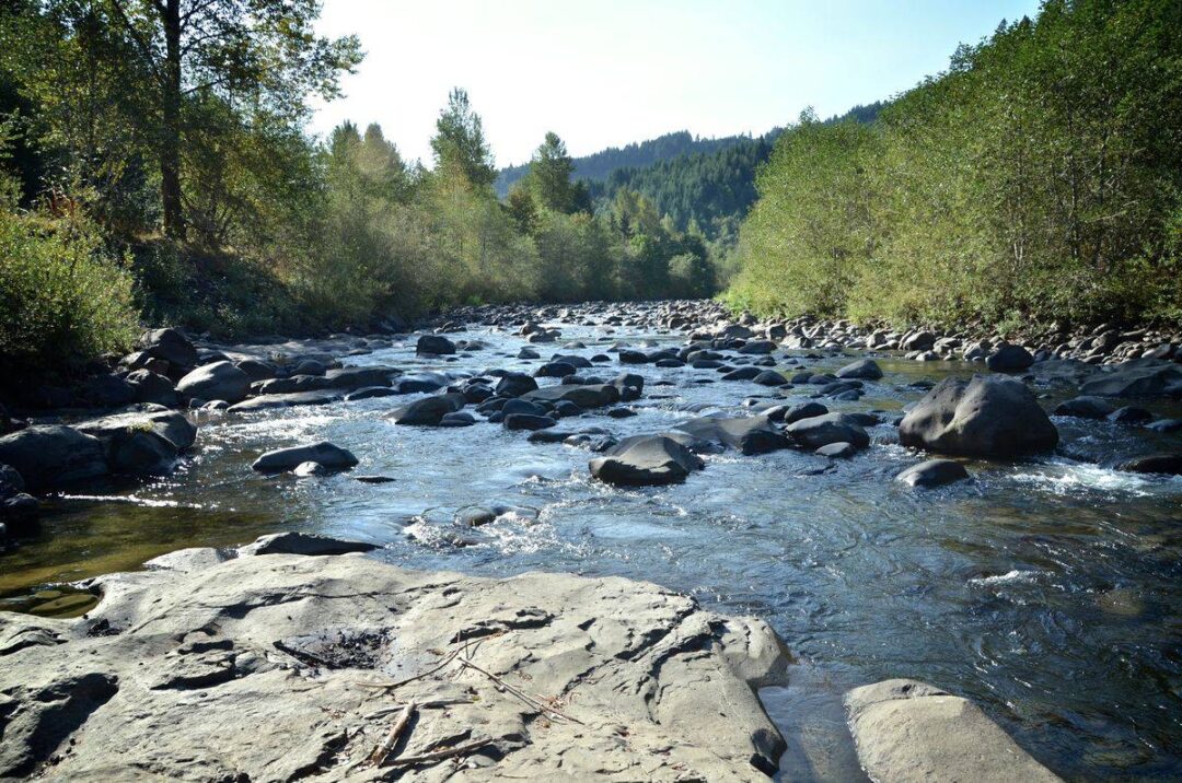 19+ Awesome Hikes Near Portland to Escape The Bustle