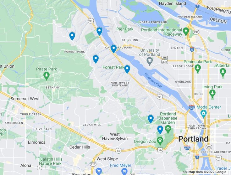 8 Top Hikes in Forest Park in Portland - Oregon is for Adventure