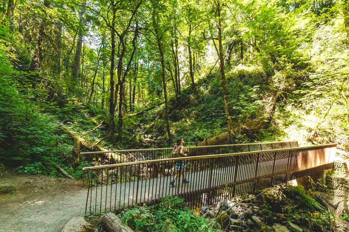 8 Top Hikes in Forest Park in Portland - Oregon is for Adventure