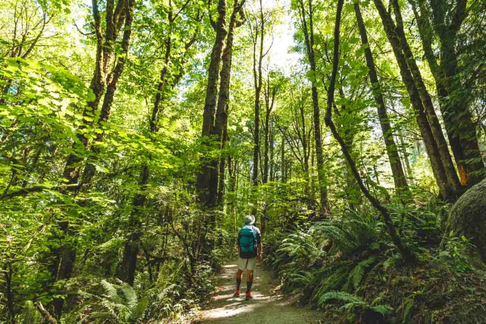 Exploring Washington Park in Portland, Oregon - Oregon is for Adventure