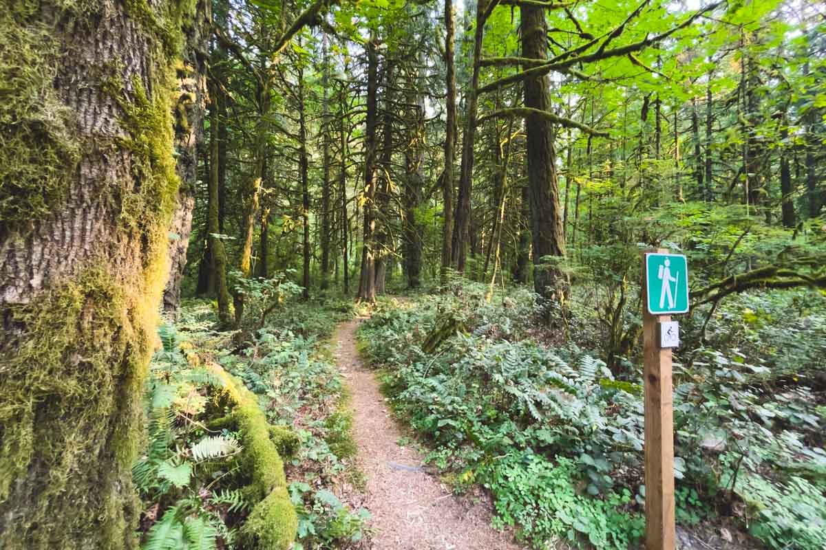 Oxbow Regional Park Outside of Portland—Hike, Paddle, Fish, & Camp!