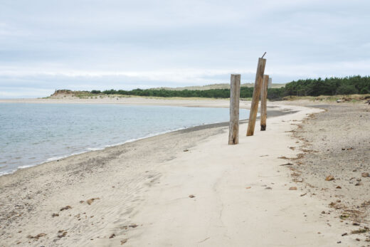 9 Highlights in Oregon's Siuslaw National Forest - Oregon is for Adventure