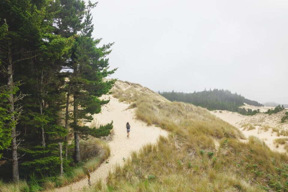 5 Forest Hikes Near the Oregon Coast for Shade and Scenery