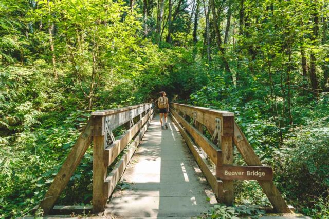 Exploring Tryon Creek State Natural Area in Portland