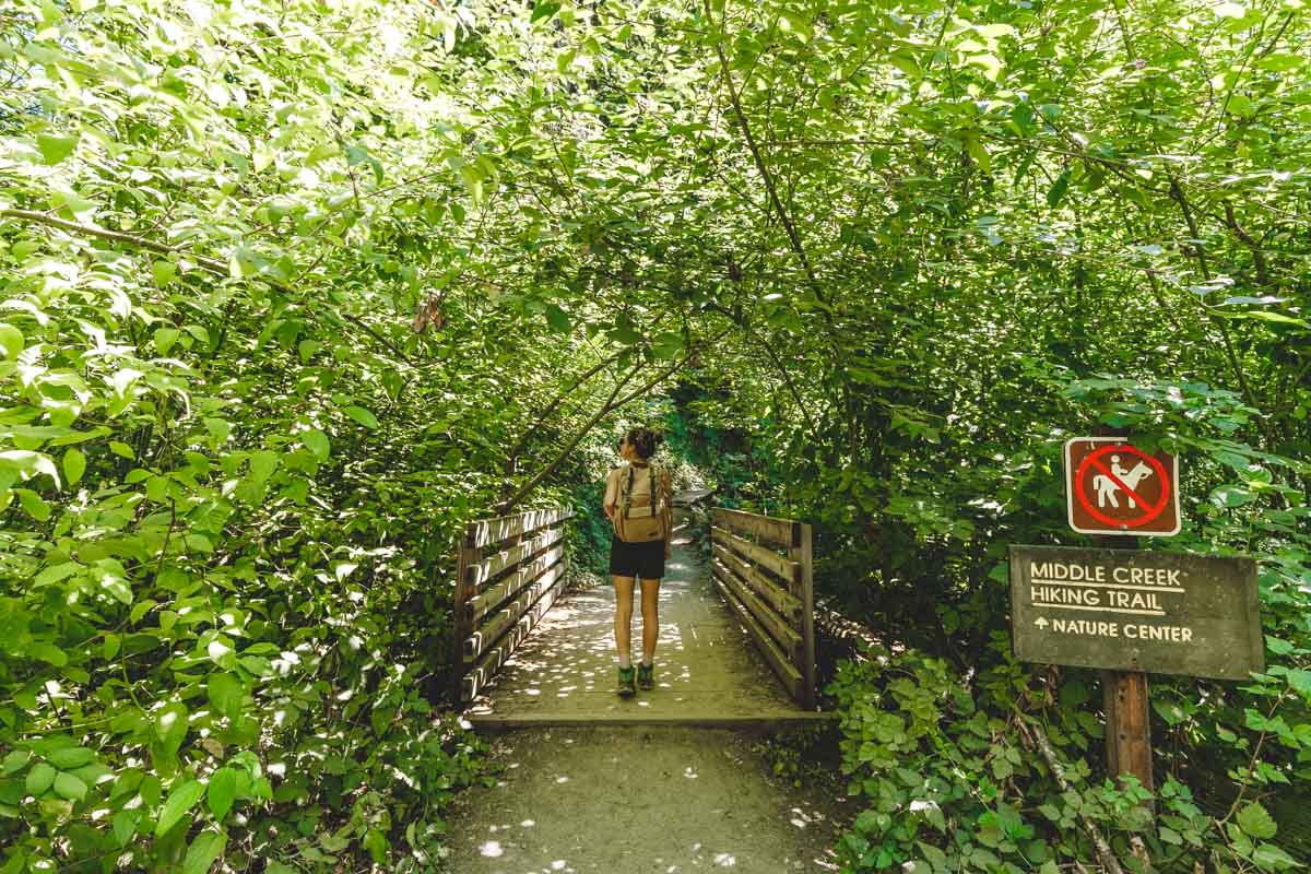 Exploring Tryon Creek State Natural Area in Portland