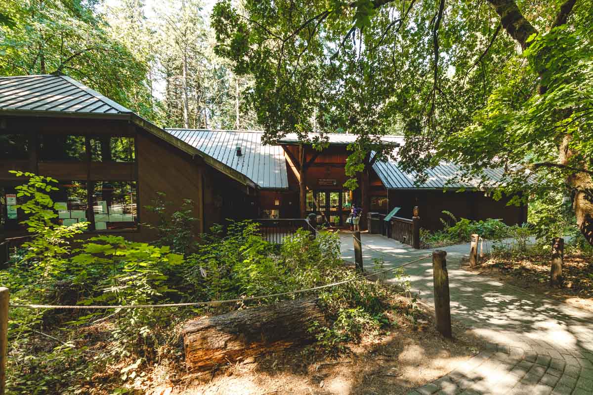 Exploring Tryon Creek State Natural Area in Portland