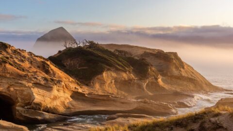 Your Guide to Cape Lookout State Park in Oregon! - Oregon is for Adventure