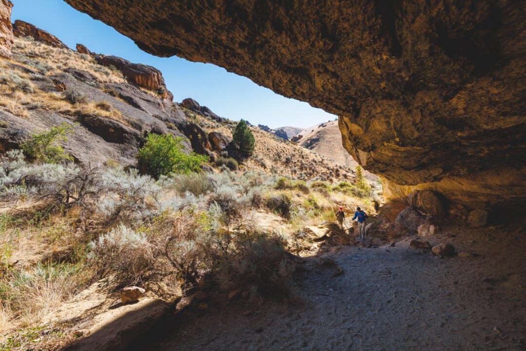 Your Guide to Leslie Gulch: Oregon's Stunning Alien Territory