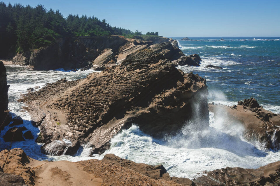 Your Guide to Shore Acres State Park