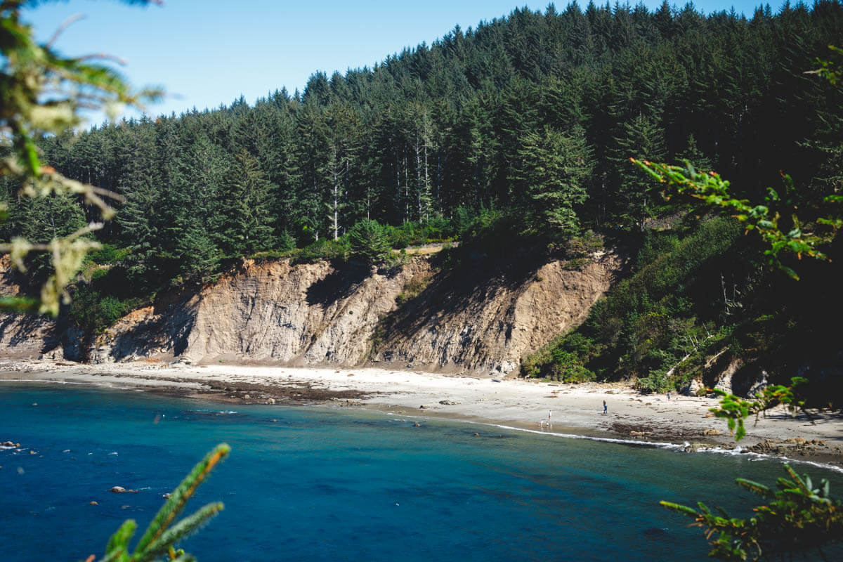 Your Guide to Cape Arago State Park