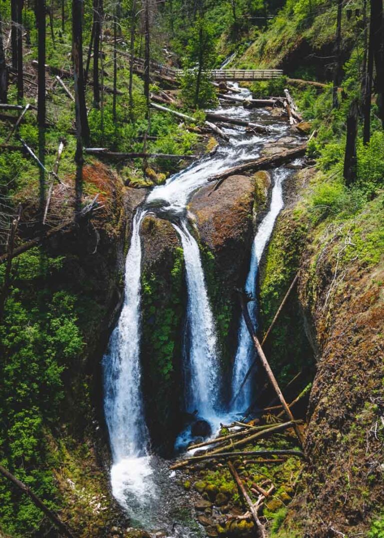 17+ Must-Visit Columbia River Gorge Waterfalls