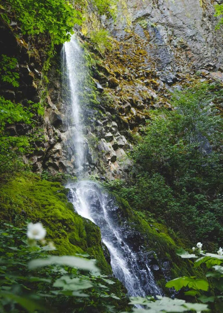17+ Must-Visit Columbia River Gorge Waterfalls