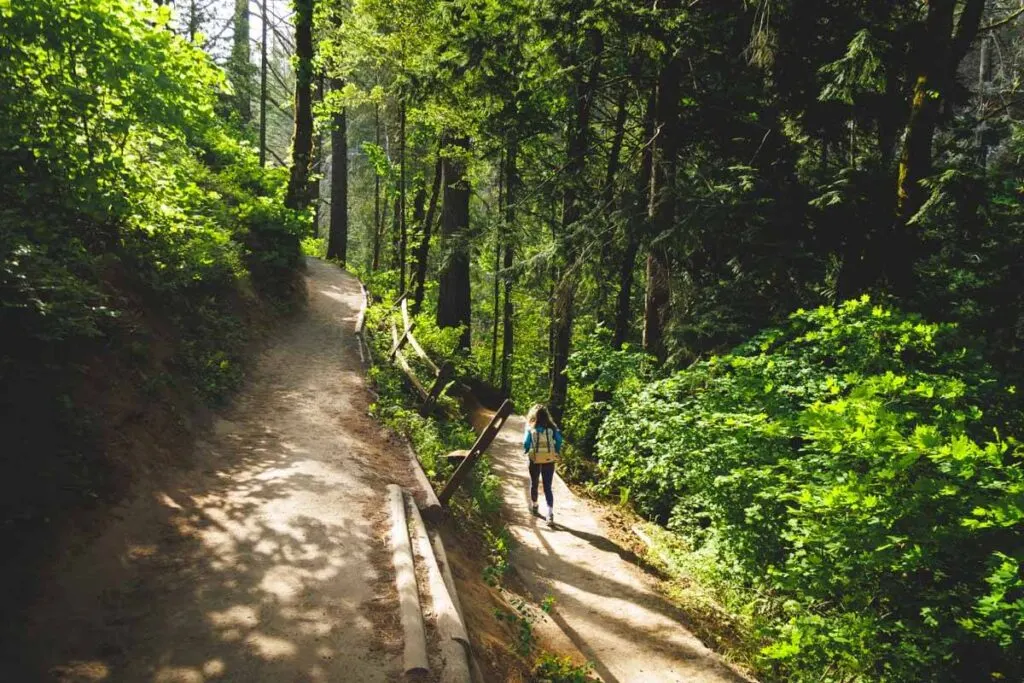 Multnomah Falls Hike: EVERYTHING You Need to Know! (2023)