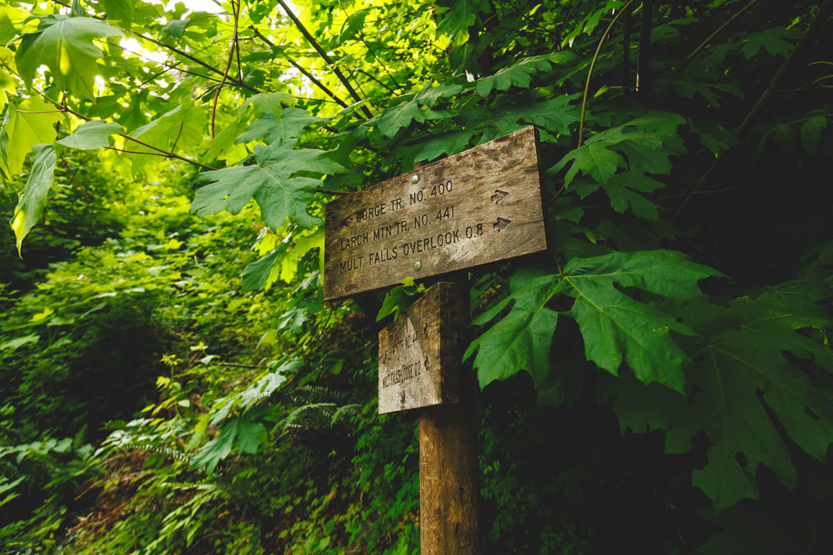 Multnomah Falls Hike: EVERYTHING You Need to Know